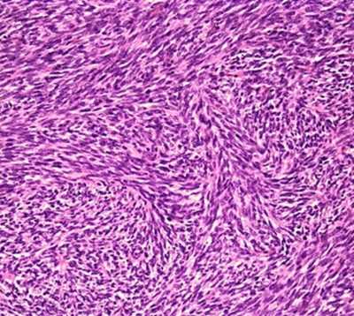 Internet Scientific Publications